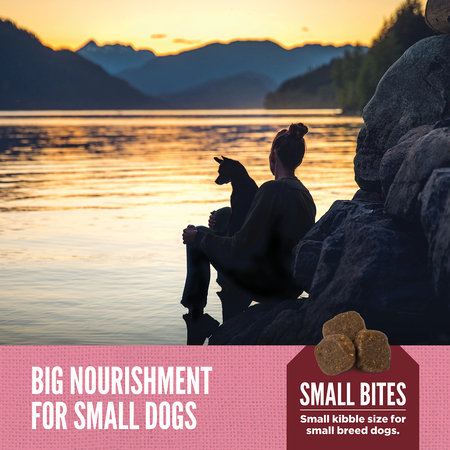 Amazing Grains Small Breed Dog Food with Grain | ORIJEN