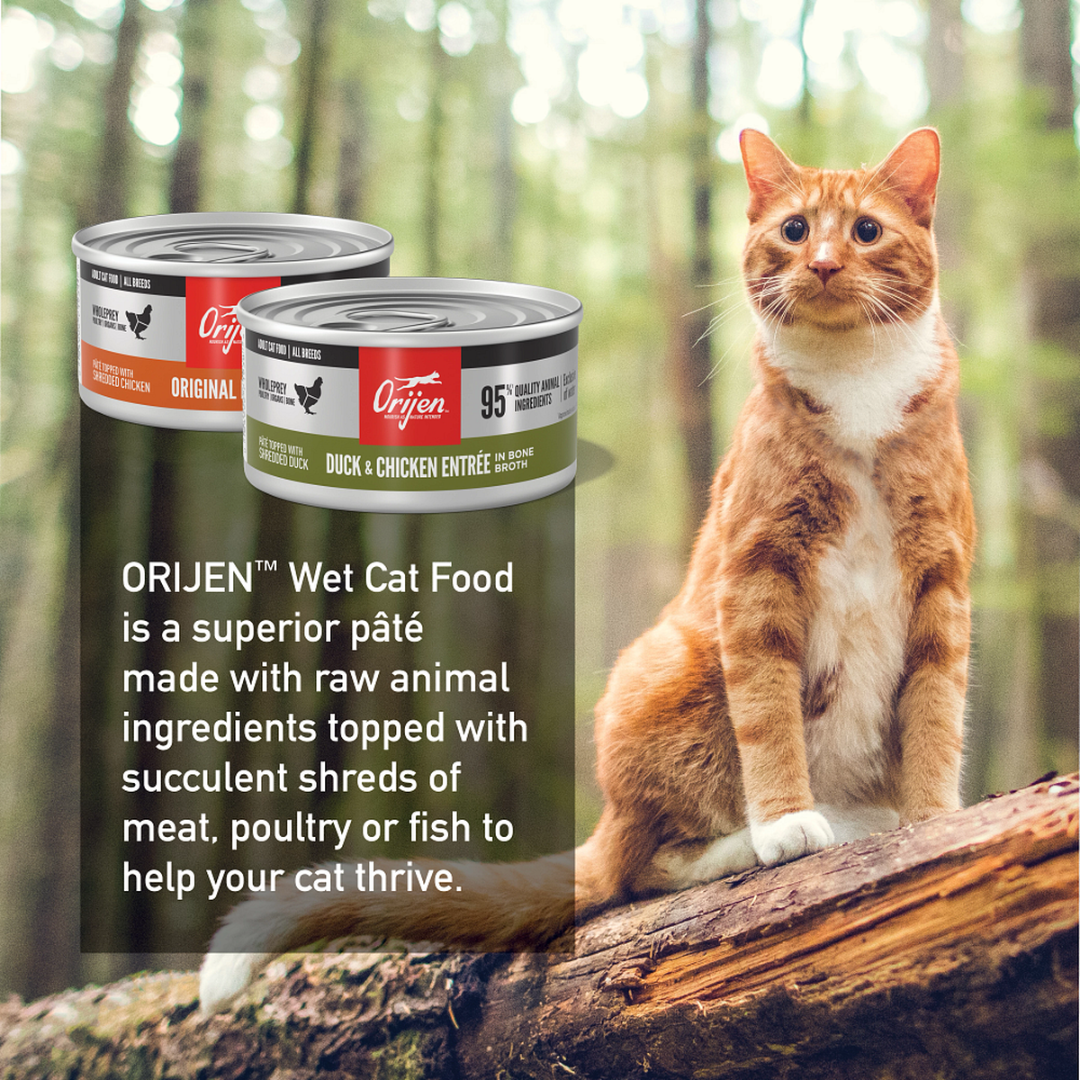 ORIJEN Wet Cat Food Pâté, Variety Pack