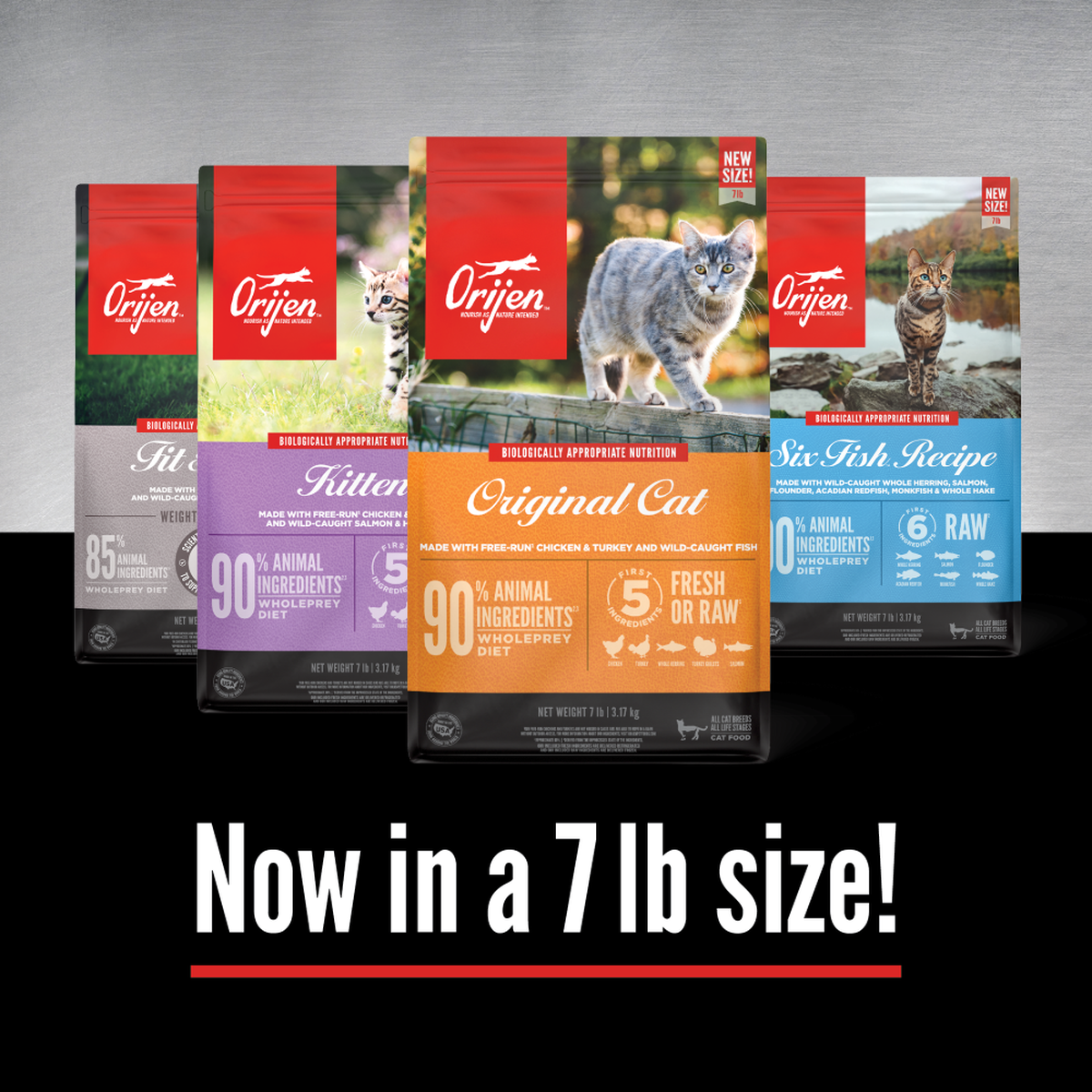 ORIJEN Kitten Formula: Healthy Dry Food for Kittens | ORIJEN