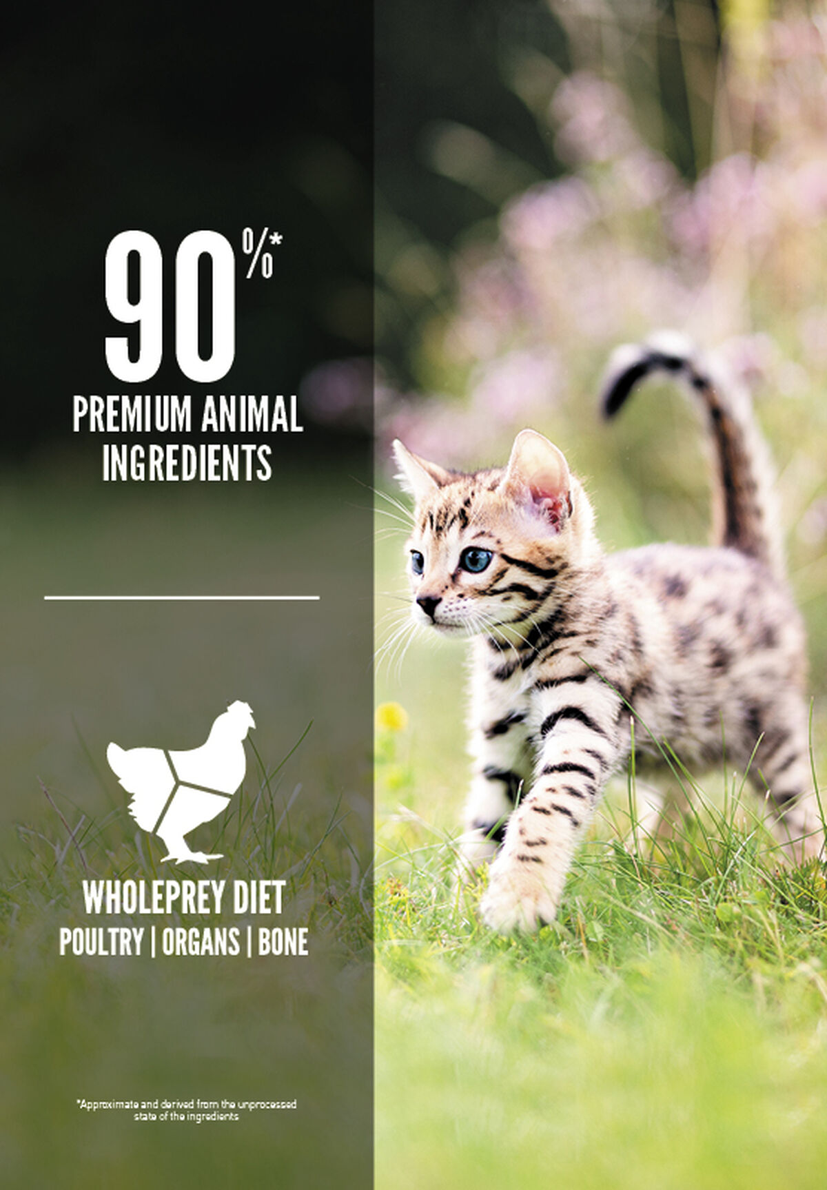 ORIJEN Kitten Formula: Healthy Dry Food for Kittens | ORIJEN