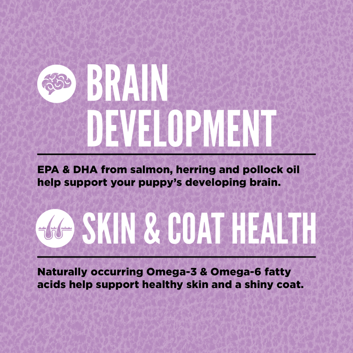 Puppy Large Breed Dog Food