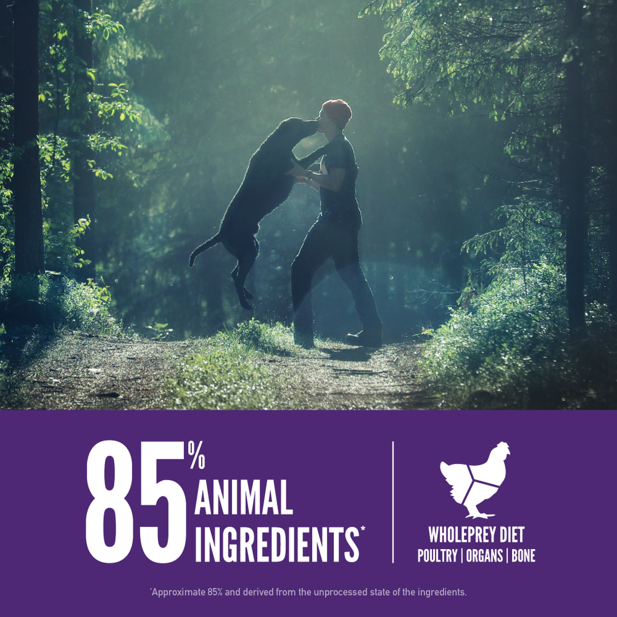 Large Breed Adult Dry Dog Food | ORIJEN