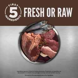 Regional Red Dog Food