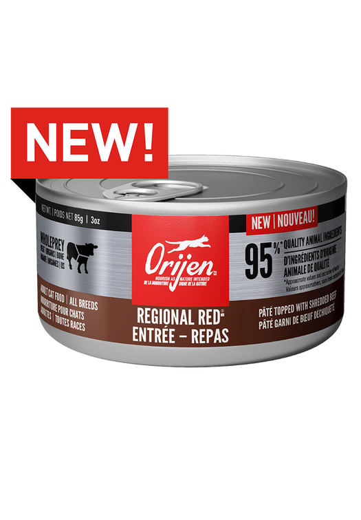 Best High-Protein & Meat-Based Cat Food | ORIJEN