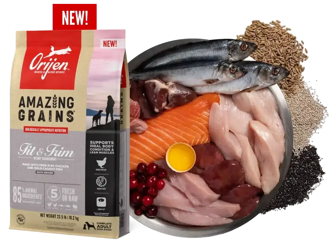 ORIJEN | Premium Pet Food for Dogs & Cats