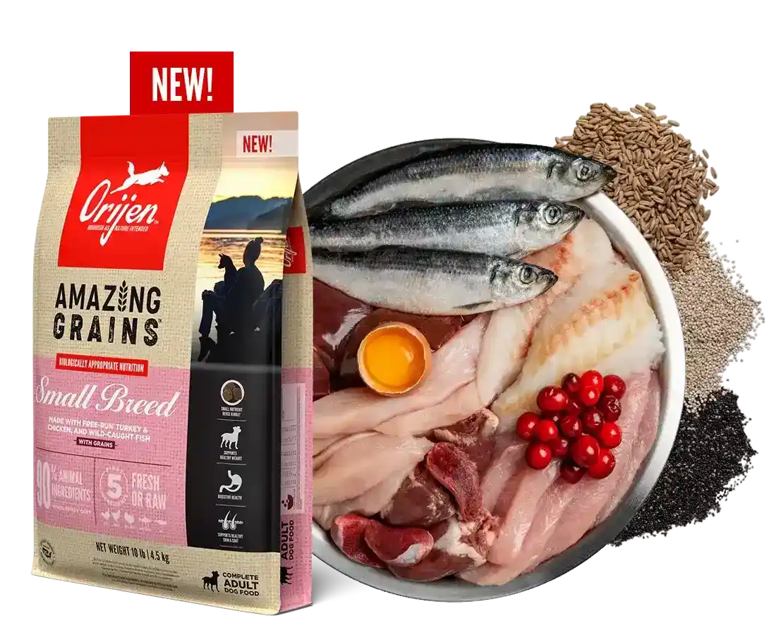 ORIJEN | Premium Pet Food for Dogs & Cats